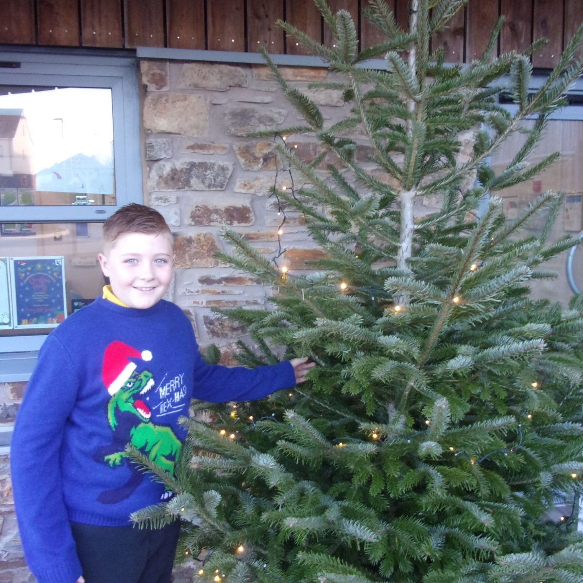 Loddiswell Primary School - Christmas Tree