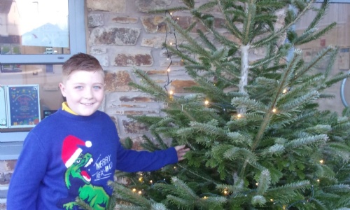 Loddiswell Primary School - Christmas Tree