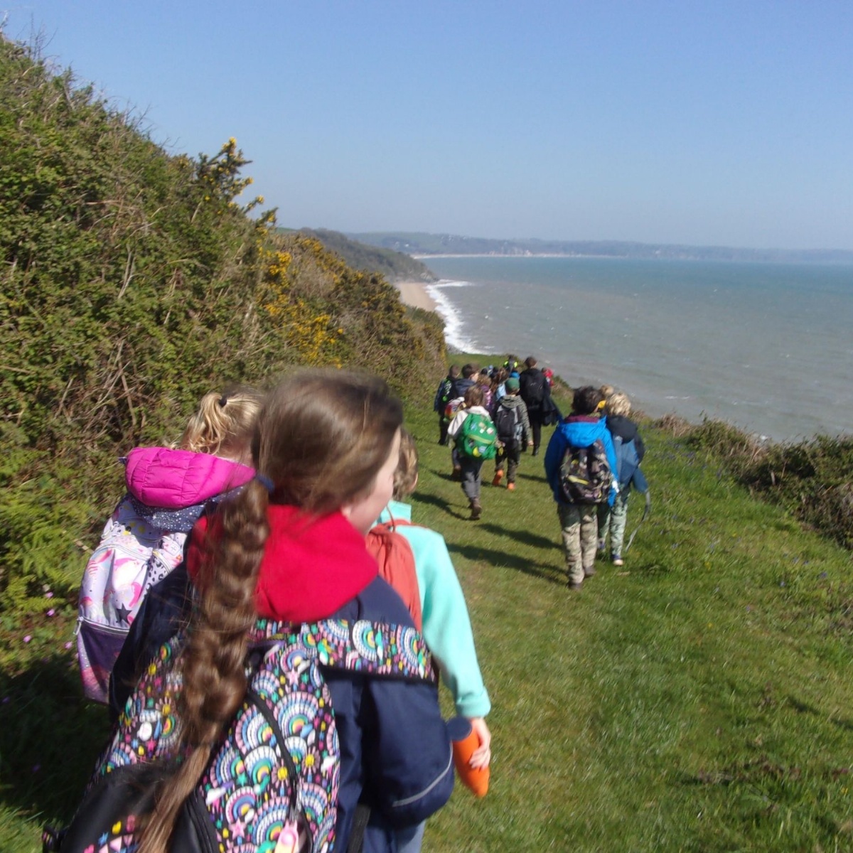 Loddiswell Primary School - Forest and Beach