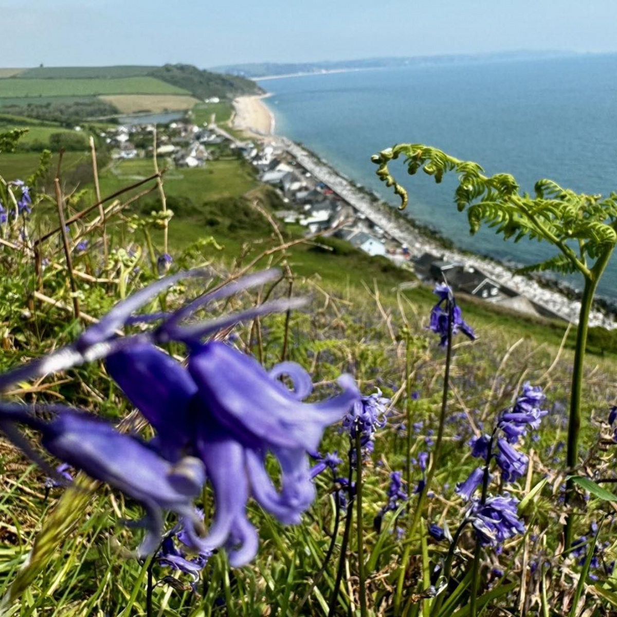 Loddiswell Primary School - Forest and Beach