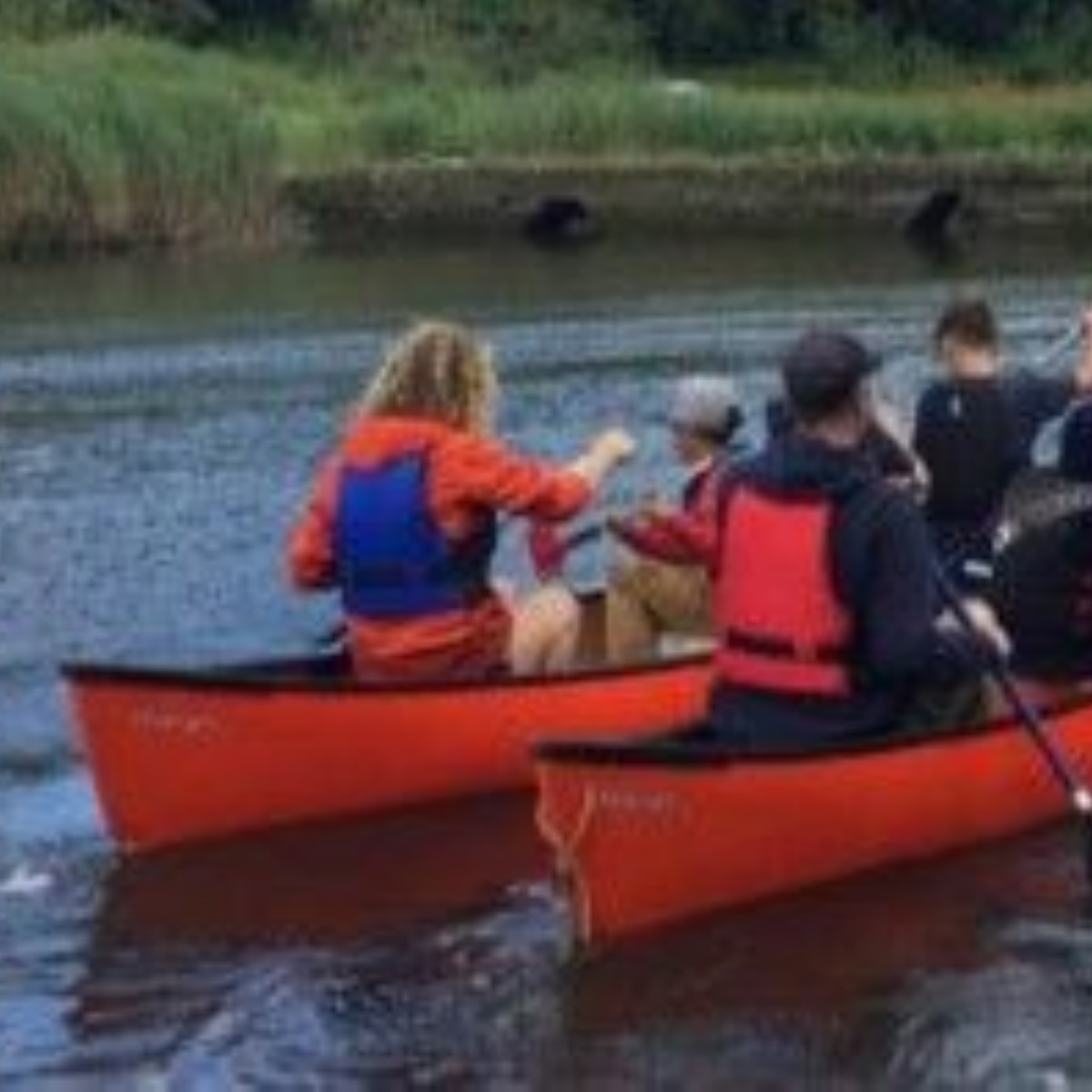 Loddiswell Primary School - Singing Paddles
