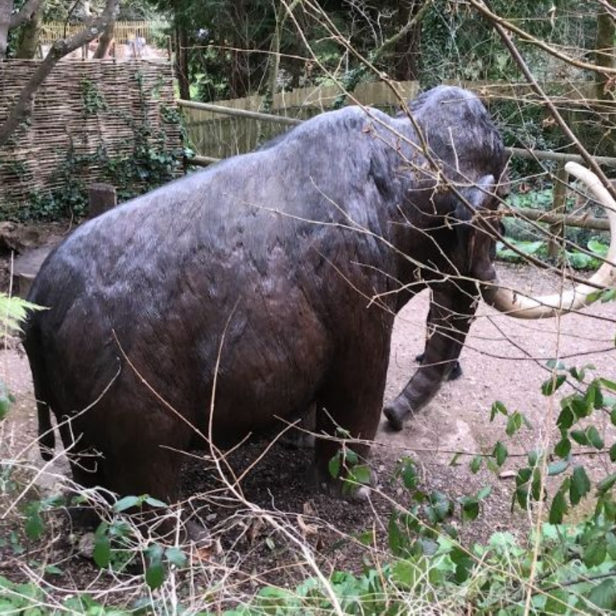 Loddiswell Primary School - Year 3 - Kents Cavern