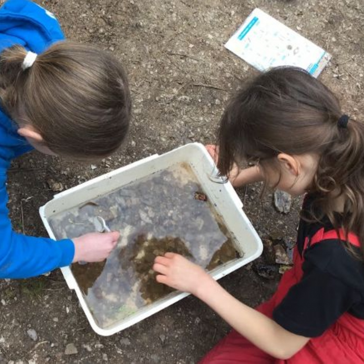 Loddiswell Primary School - Class 4 Slapton Ley Trip