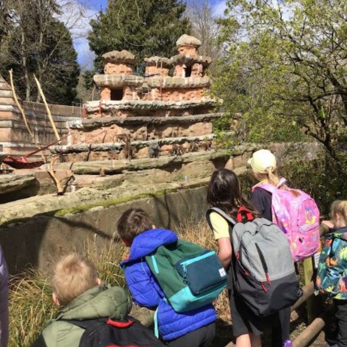 Loddiswell Primary School - Class 2 Paignton Zoo Trip