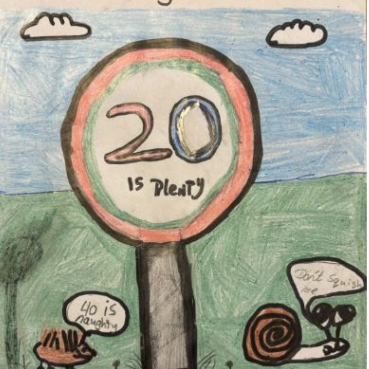Loddiswell Primary School - 20 is plenty!